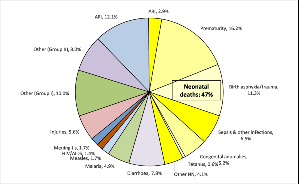 New estimates of the causes of child death under age 5 | Colin Mathers